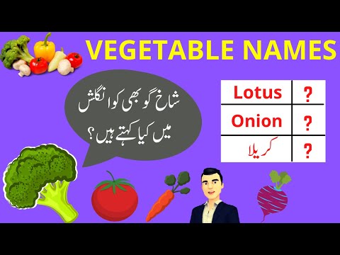 40 Vegetable Names With Picture in Urdu and English | Learn English | U2E Academy