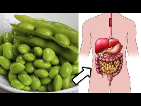 Surprising Health Benefits of Edamame You wish Someone Told You Earlier.