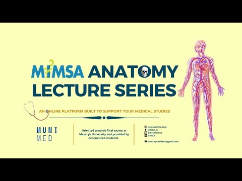 Anatomy lecture: ANS and Regional Anatomy of head, neck, ventral trunk and pelvis