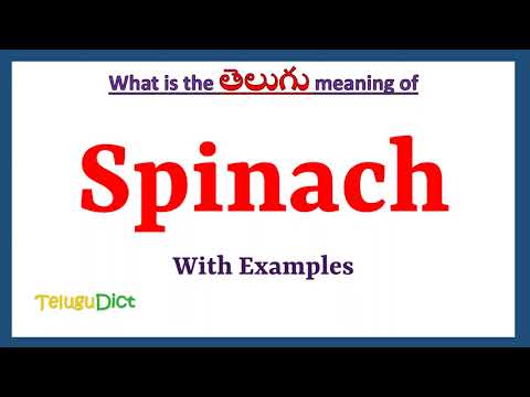 Spinach Meaning in Telugu | Spinach in Telugu | Spinach in Telugu Dictionary |