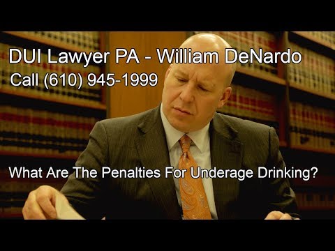 DUI LAWYER PA Jail And Arrests - UNDERAGE DRINKING