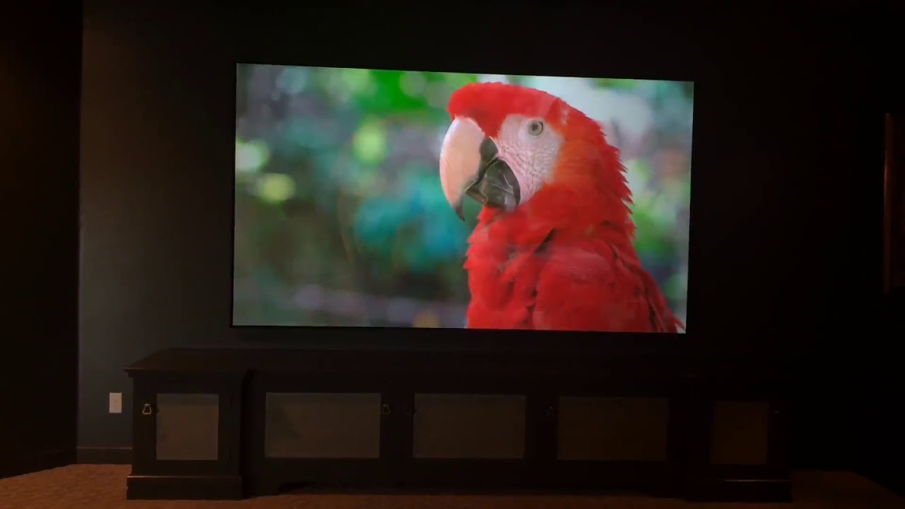 Screen Innovations Slate for Home Theater