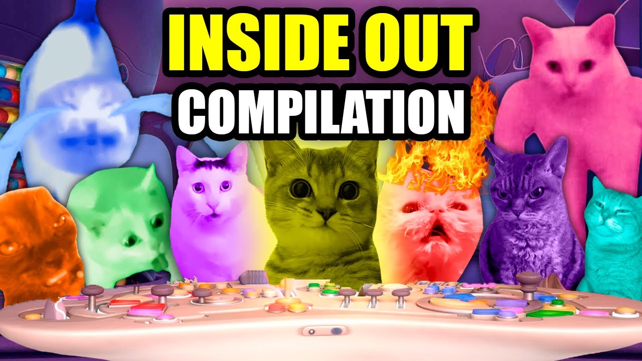 CAT MEMES: CAT's IN INSIDE OUT COMPILATION