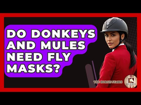 Do Donkeys And Mules Need Fly Masks? - The Horses Stable
