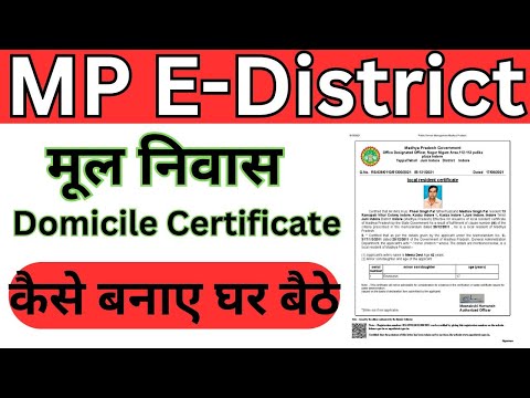 How to make domicile certificate 2025|How to make residence certificate from MP district 2025