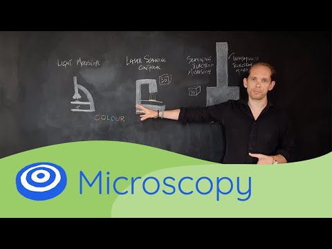 Microscopy - GCSE science, Biology (9-1)