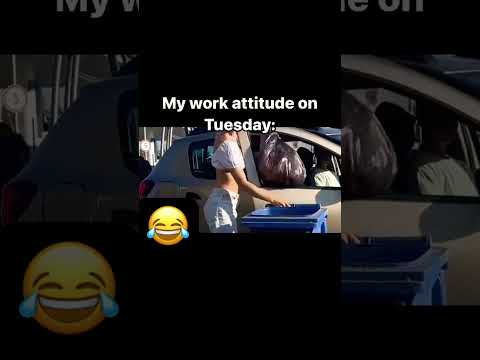 #funny #memes #workweek #fyp #laugh