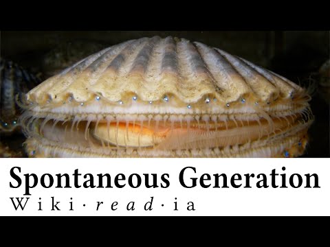 Spontaneous Generation - Wikireadia