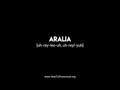 How to Pronounce "aralia"