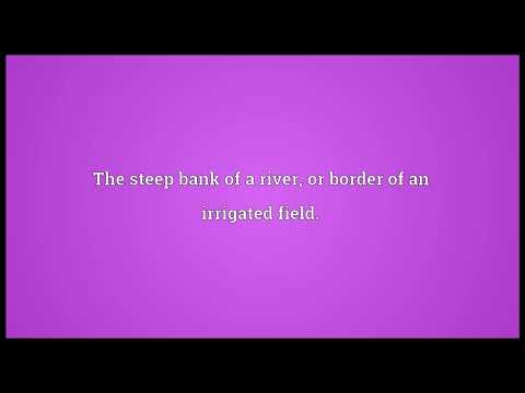 Levee Meaning