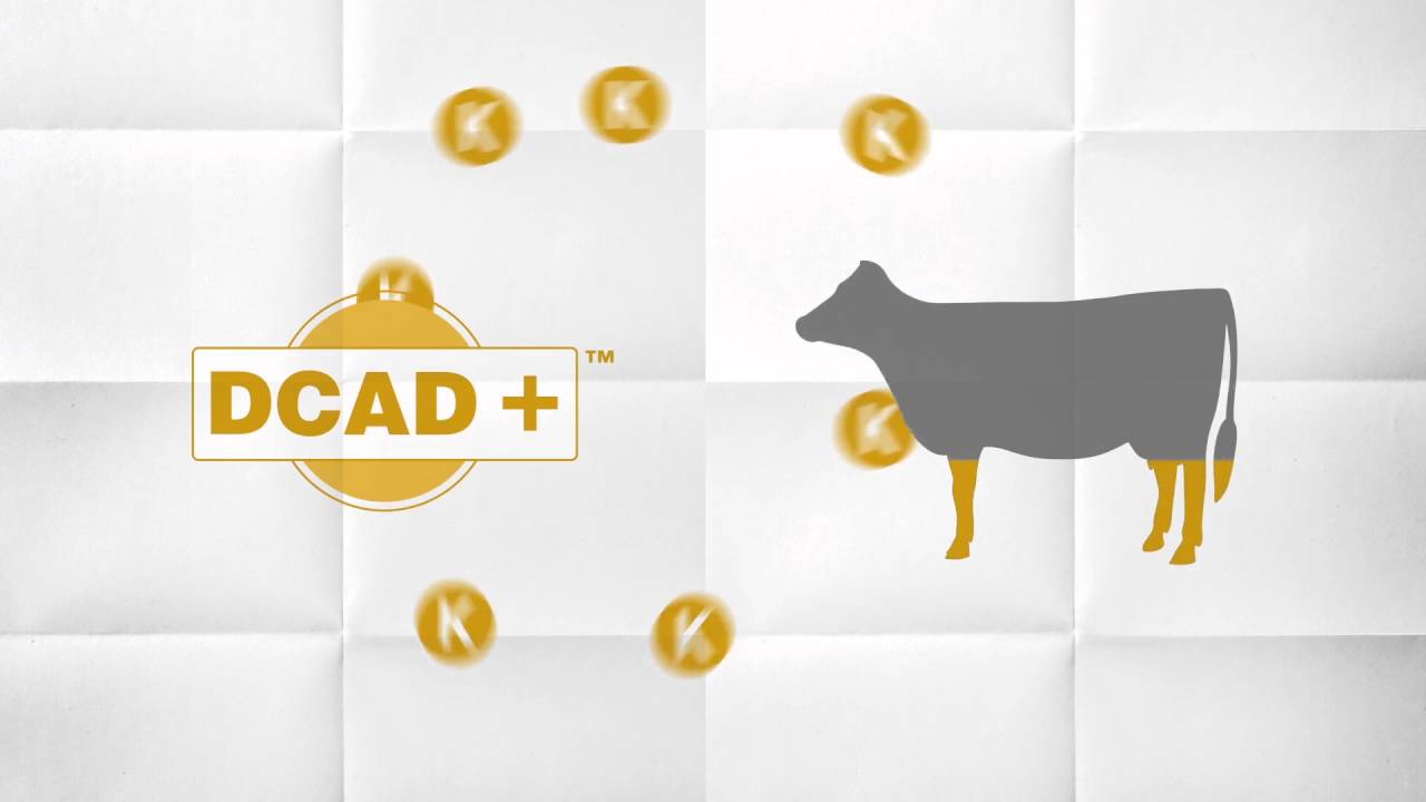 Positive DCAD Balancing with SQ-810 & DCAD Plus