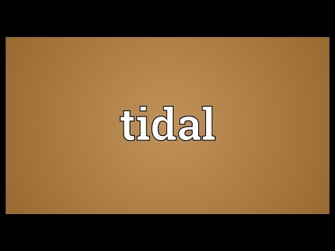Tidal Meaning