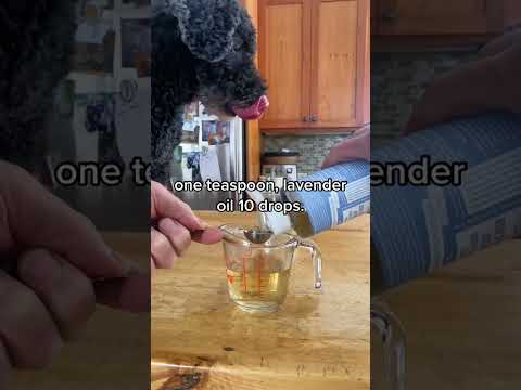 DIY All Natural Doggy Deodorizer