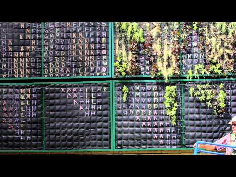 Panoramic Living Mural at Fiddlers Green Amphitheatre