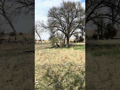Nebraska hunting lease now available on HLRBO!