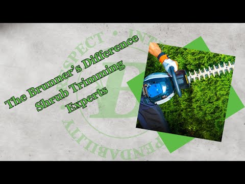 The Brunner’s Difference: Shrub Trimming Experts
