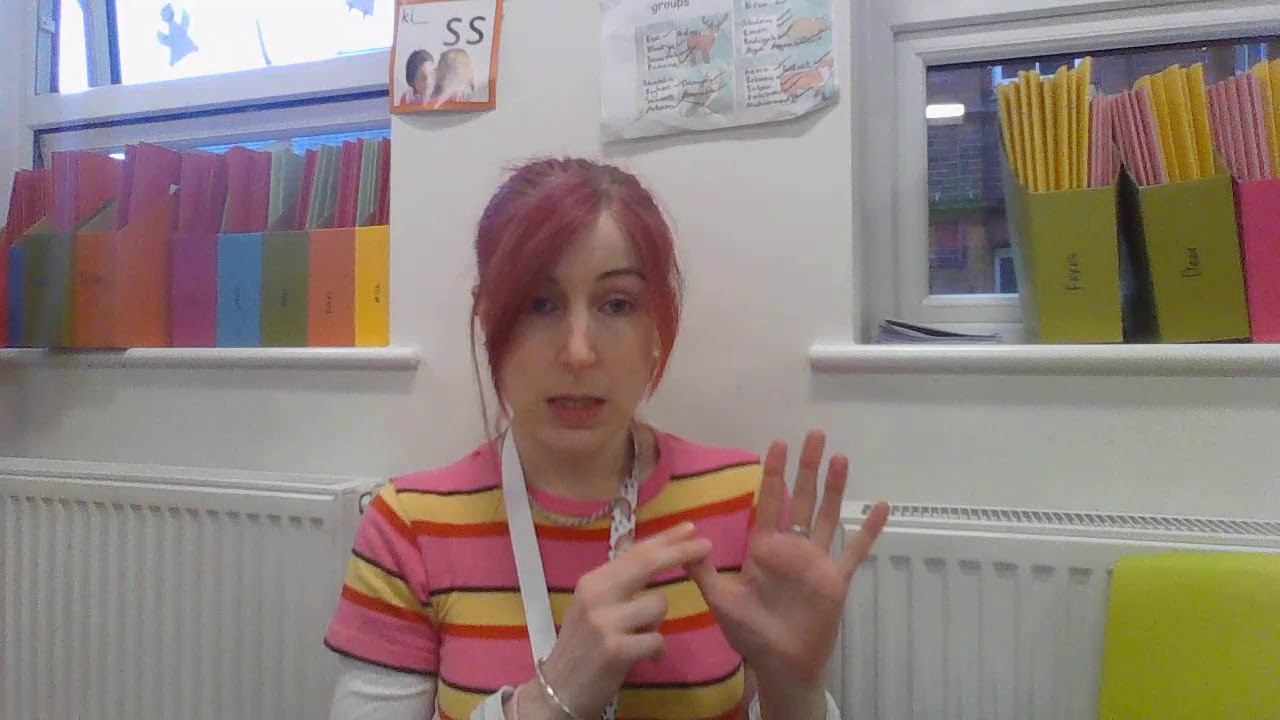 Year 1 Science lesson - making posters!