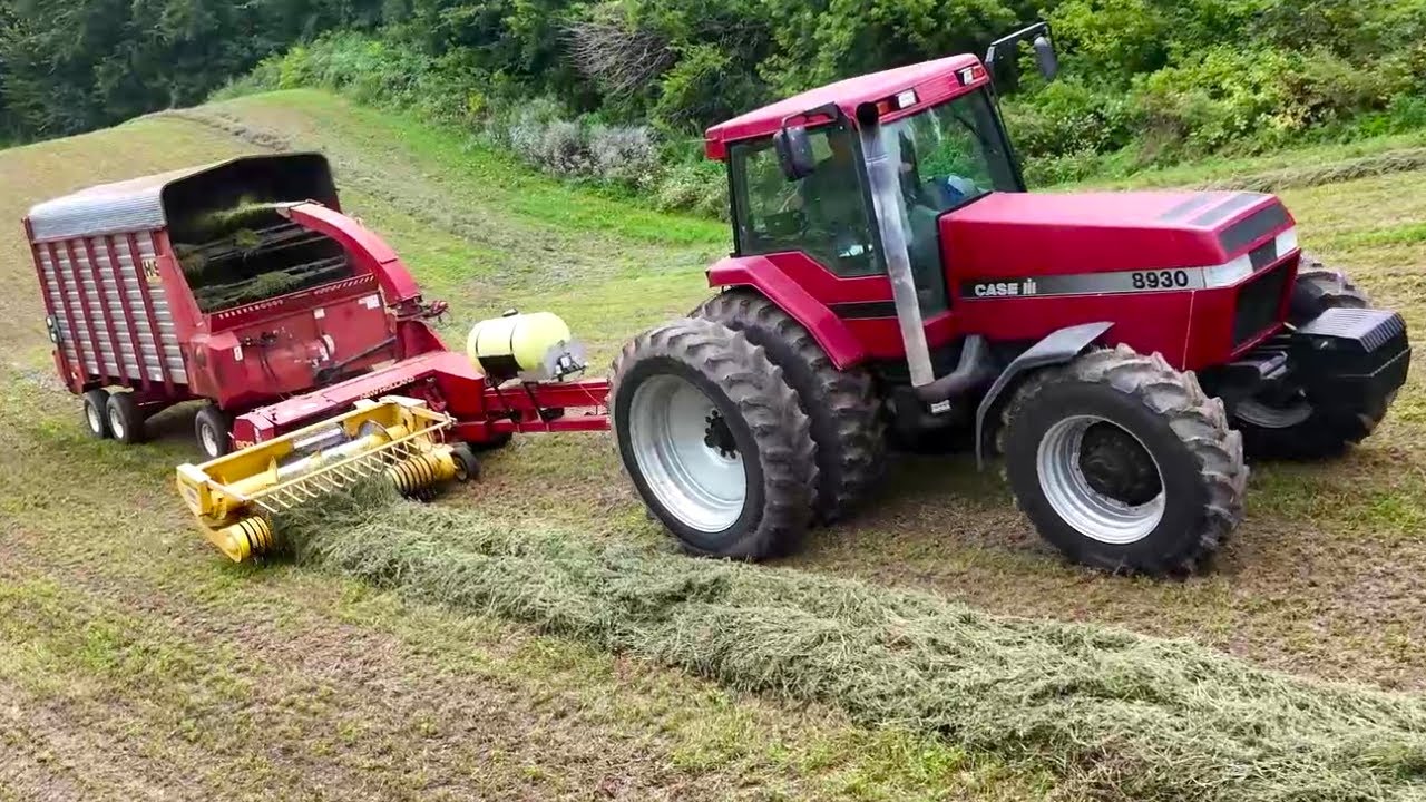 Chopping Hay With Red Tractors At Shady Oak Angus Farms!