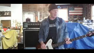 Acoustic control corporation 360 Bass Amp - What To Know & Where To Buy ...