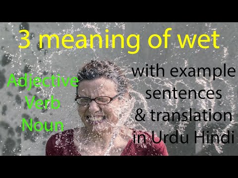 Wet meaning as adjective verb and noun in Hindi Urdu | 3 meaning of wet with example sentences