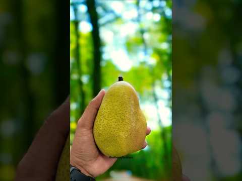 Fresh green pear fruit π #shorts #fruit