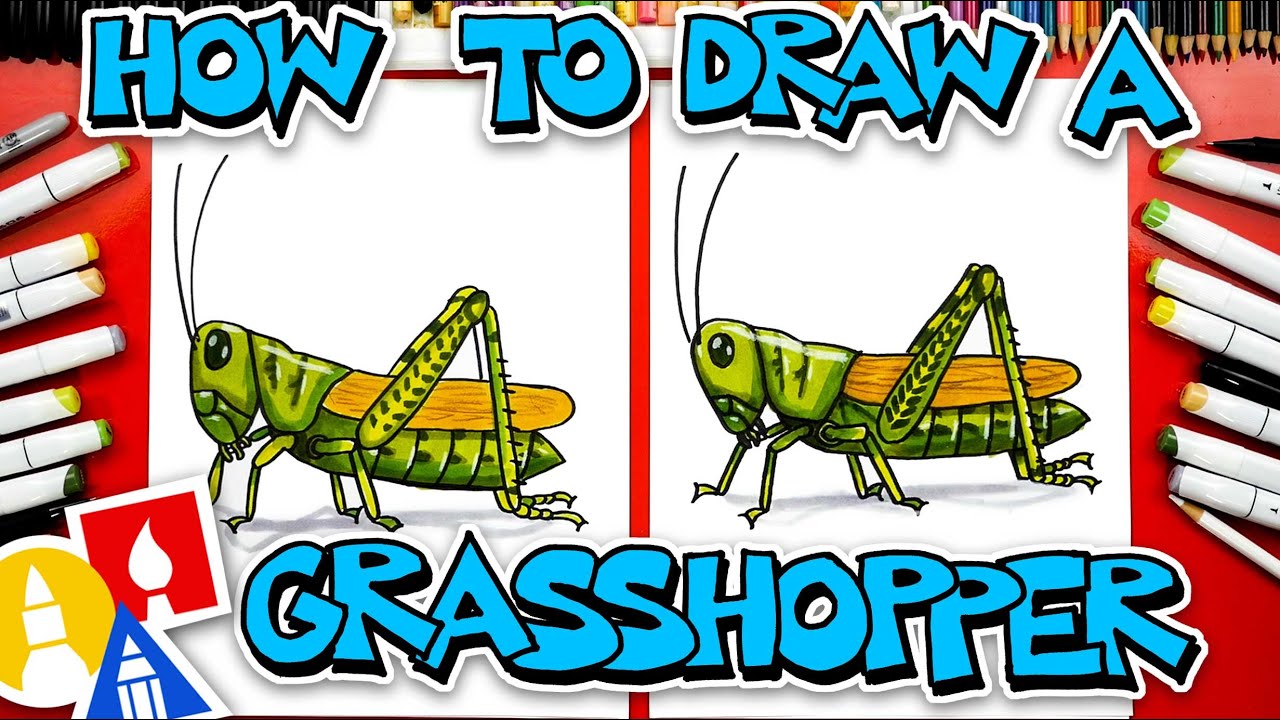 How To Draw A Grasshopper