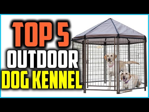 Top 5 Best Outdoor Dog Kennel in 2024
