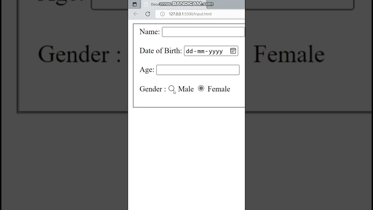 INPUT take in HTML Complete Tutorial ||CSS And HTML ||Coding Short