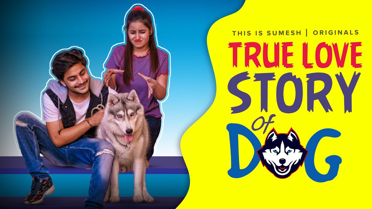 True Love Story Of A Dog | Unexpected Twist | This is sumesh
