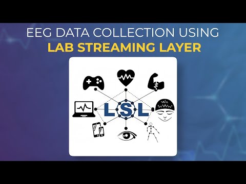 How to Harness the Power of LSL Streaming for Developers and Researchers?