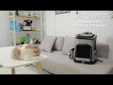 Cat Travel Supplies Review | How to Pick a Cat Backpack?