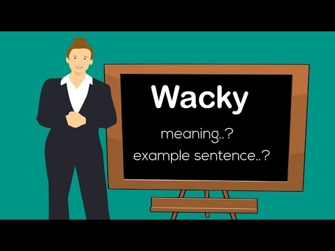 wacky meaning in urdu /hindi |How to pronounce wacky |wacky in sentence |wacky k kia mtlb h