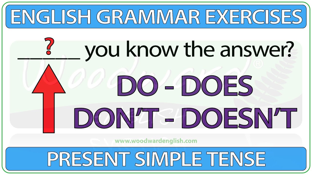 Do Does Don't Doesn't | English Grammar Exercises | Present Simple Tense Practice
