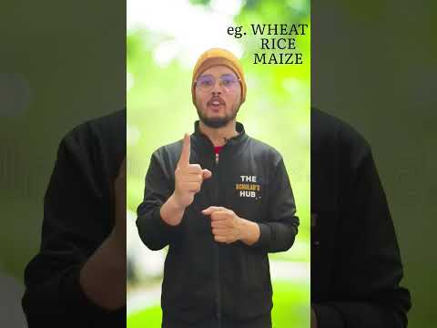 dicot & monocot seed .....#botany #science #education #educationalvideos #thescholarshub