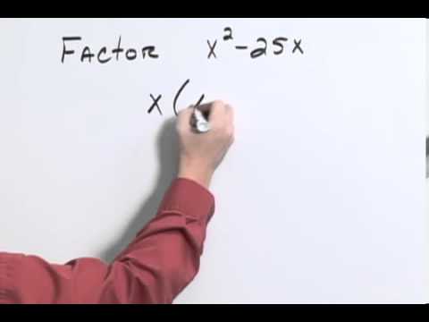 Factor The Expression