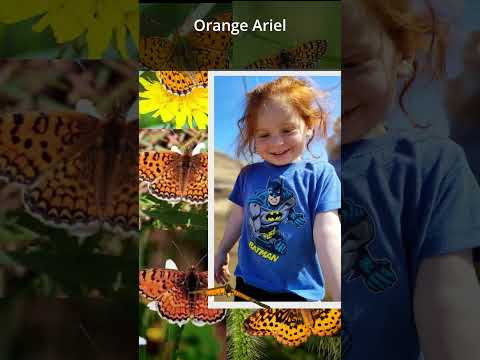 Butterfly Renamed After Ariel Bibas
