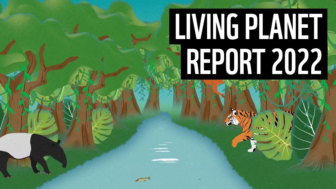 Bitesize Guide: Living Planet Report 2022 | WWF