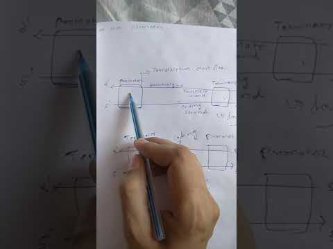 12 th Biology Location Of The Promoter and Terminator