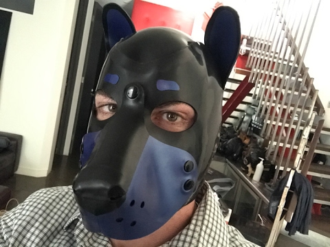 New Mr S Leather Rubber Puppy Hood Reviewed | Gpup Alpha | The Happy Pup