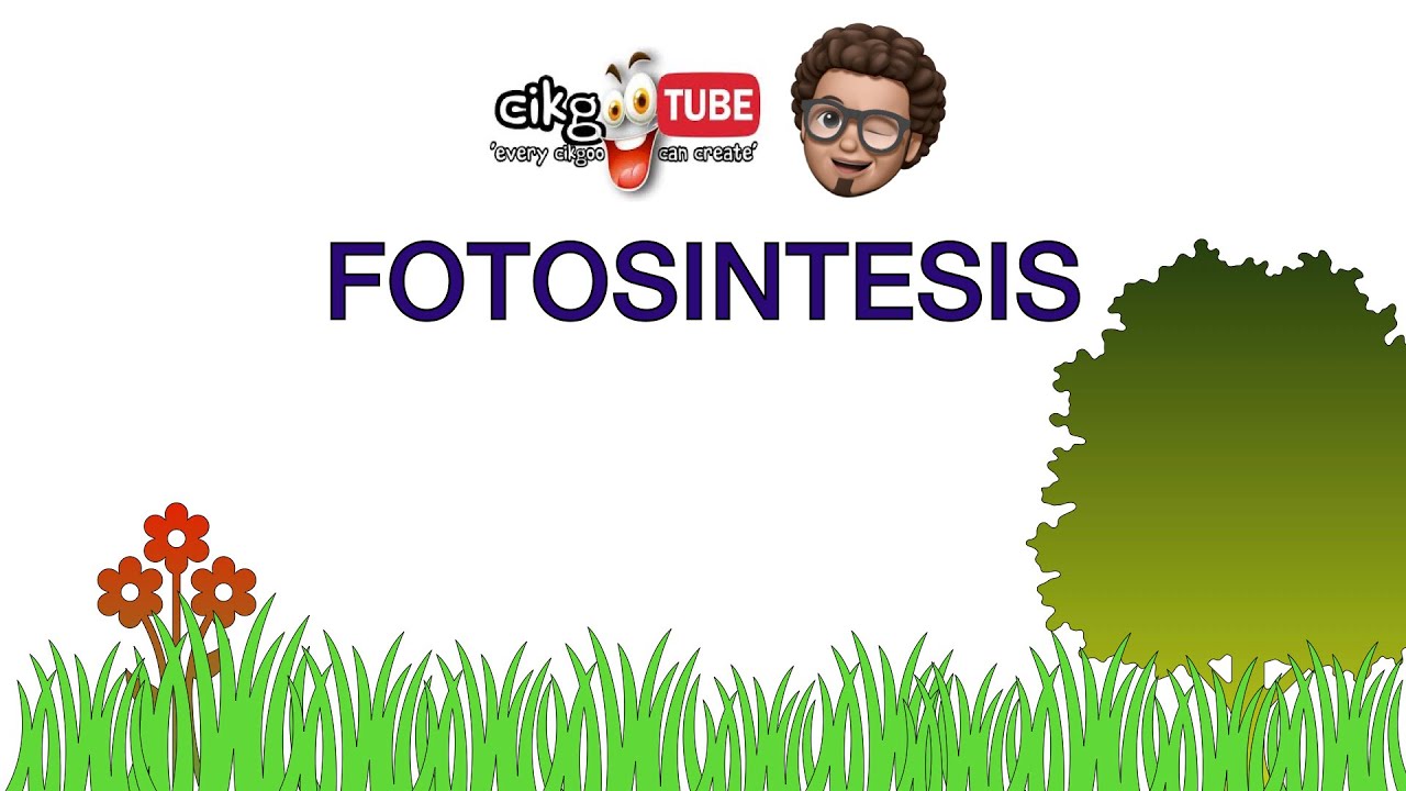 Sains Tahun 4: Fotosintesis #cikgooTube #CikguZoul