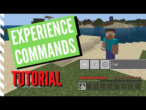 Minecraft XP COMMAND Tutorial (Bedrock & JAVA Edition)