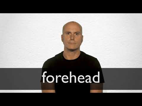 FOREHEAD definition and meaning | Collins English Dictionary