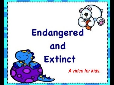 Endangered and Extinct Animals :Video for Kids