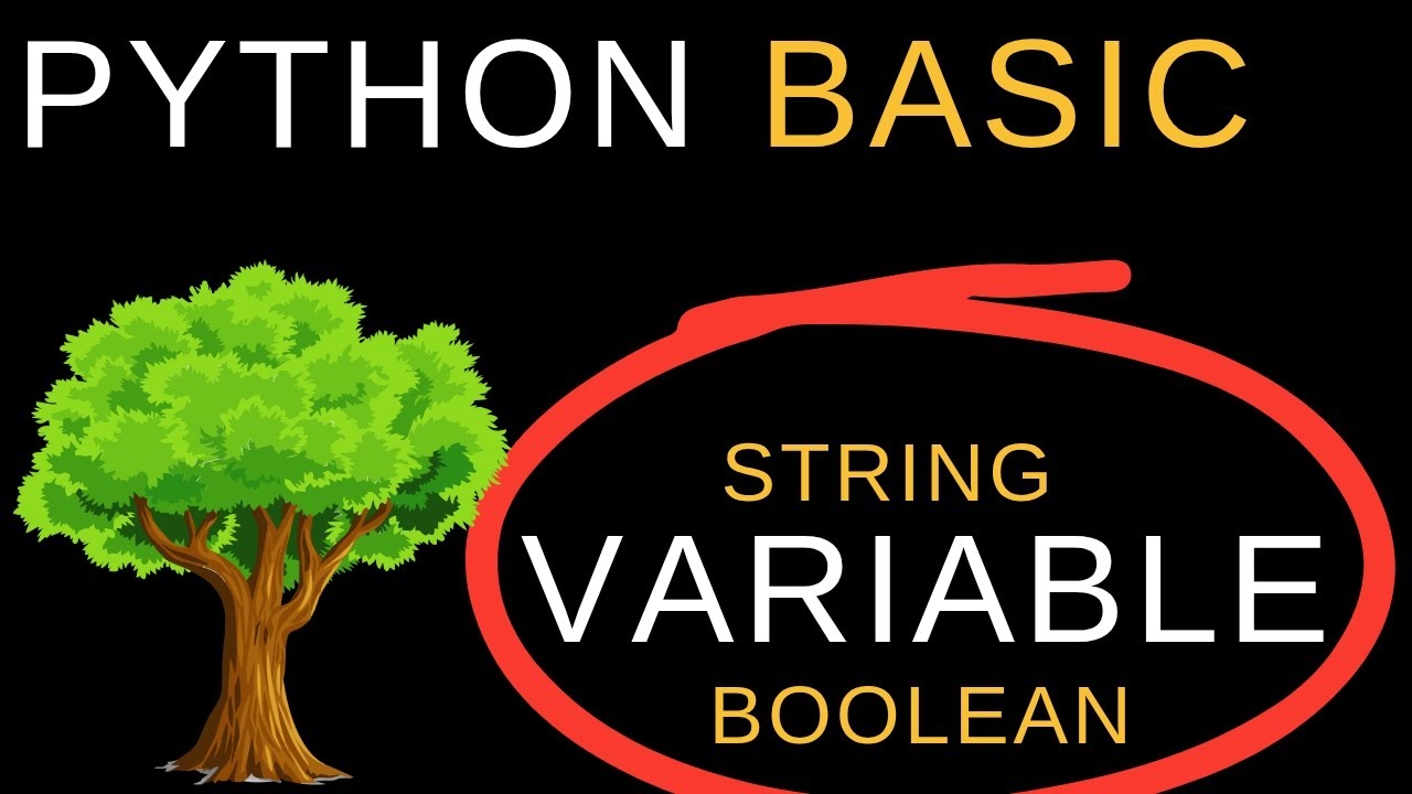 Lecture 2 : Variables - Floating - Boolean in  Python | Python Beginners Course 