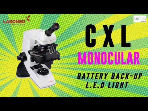 Labomed Microscope - Labomed Optical Microscope Latest Price, Dealers ...