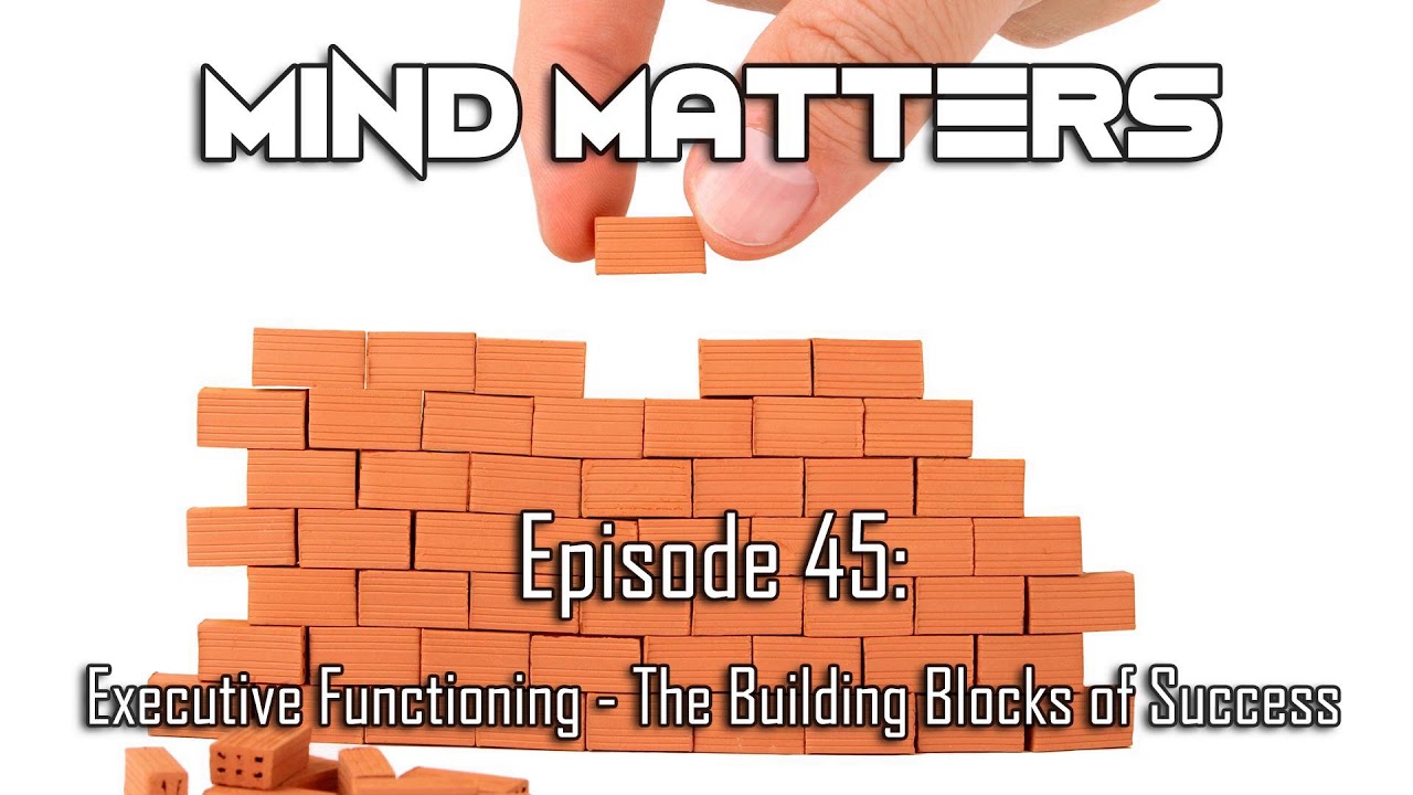 Executive Functioning - The Building Blocks of Success