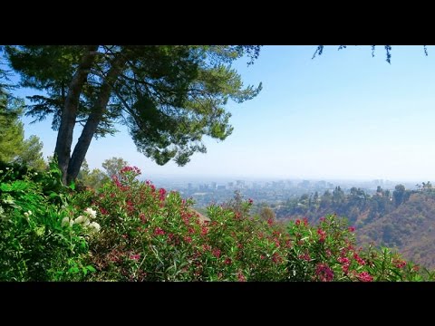Ambrosia Treatment Center: Beverly Hills, CA