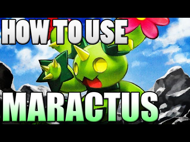 maractus Pokémon: How to catch, Stats, Moves, Strength, Weakness ...