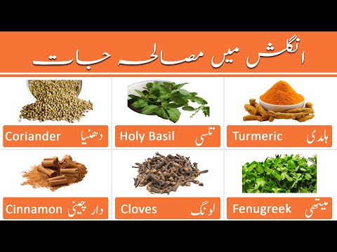 Spices Name Vocabulary English with Pictures - Spices Vocabulary | Osei Vocabulary
