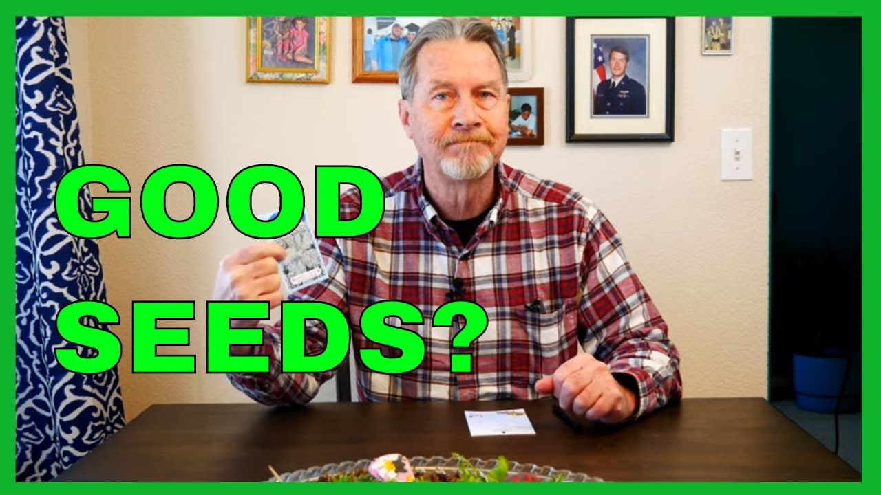 How to Test Seed Germination